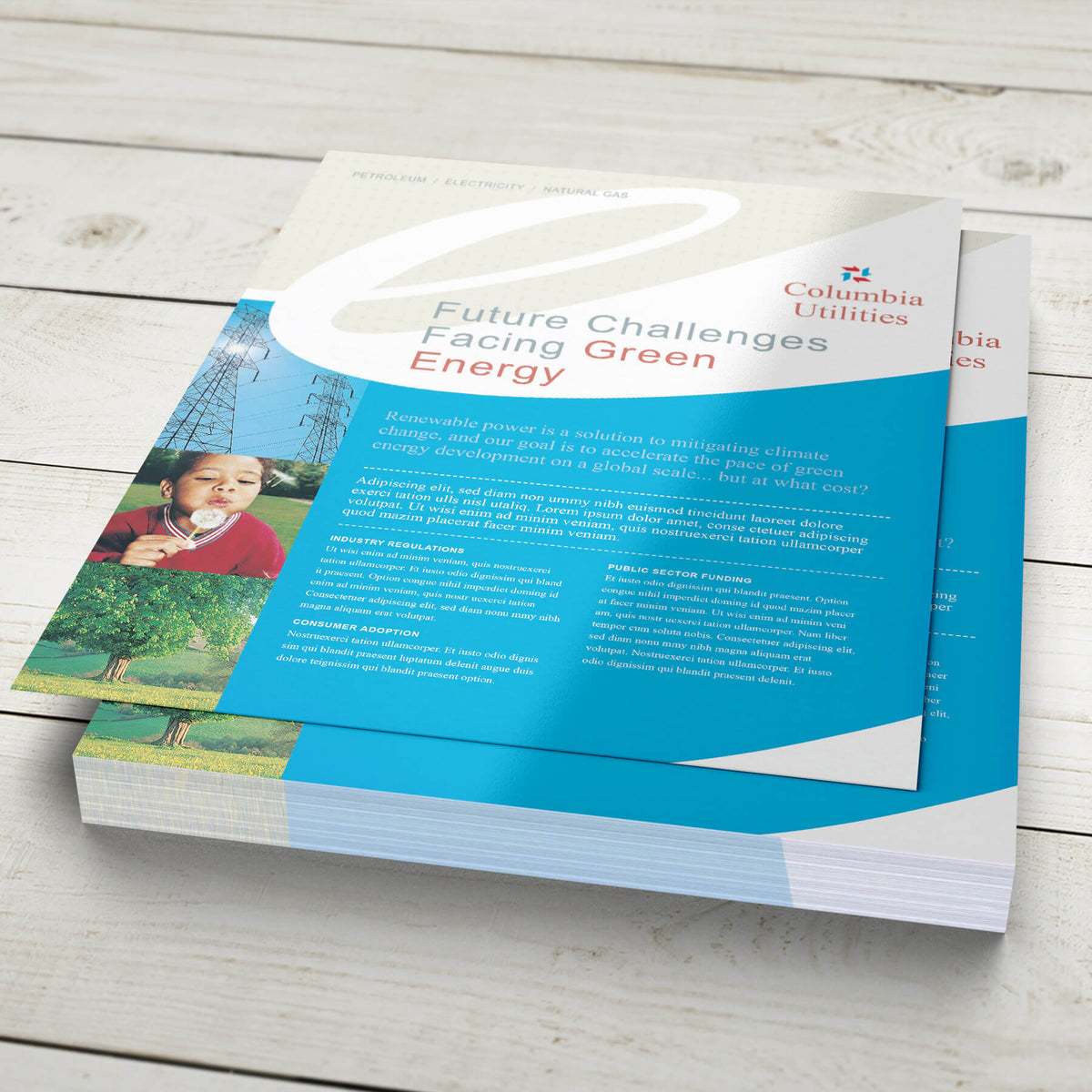 Sales Sheet - 100lb. Gloss Book with Gloss Aqueous Coating - PrintSource360